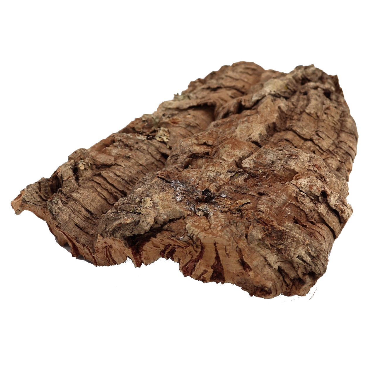 Cork Bark Flats – Terrarium Backgrounds | Cork Haven