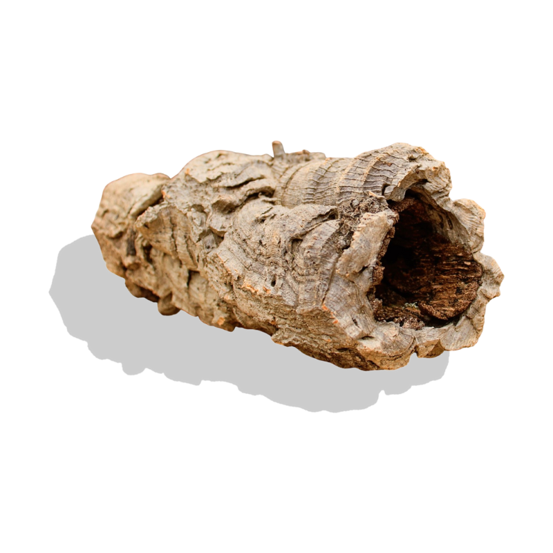 Bulk Cork Bark Rounds (Customizable) – Cork Haven