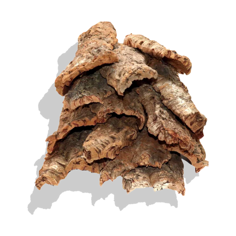 Cork Haven | Premium Virgin Cork Bark for Reptiles, Orchids & Crafts