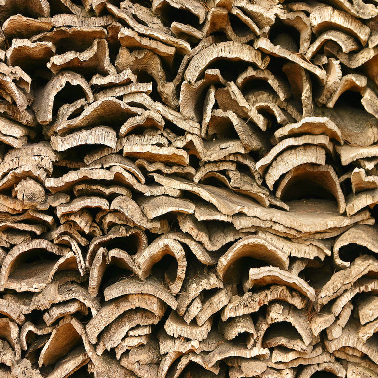 Cork Haven | Premium Virgin Cork Bark for Reptiles, Orchids & Crafts