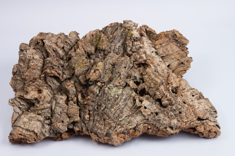Cork Haven | Premium Virgin Cork Bark for Reptiles, Orchids & Crafts